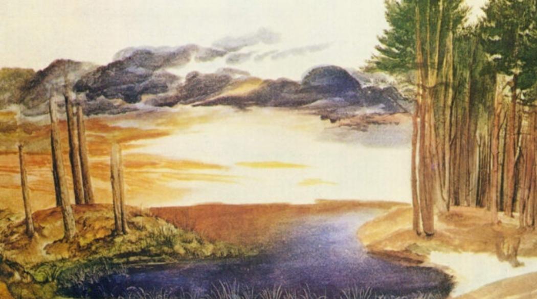 Alberto Durero: animales, paisajes, curiosidades - Fernando Galindo